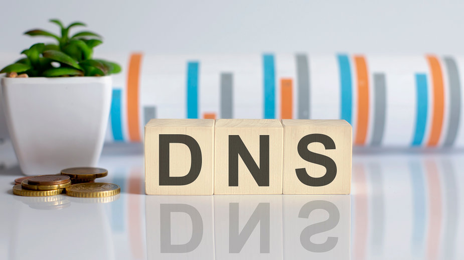 Dig command explained - DNS Info Zone